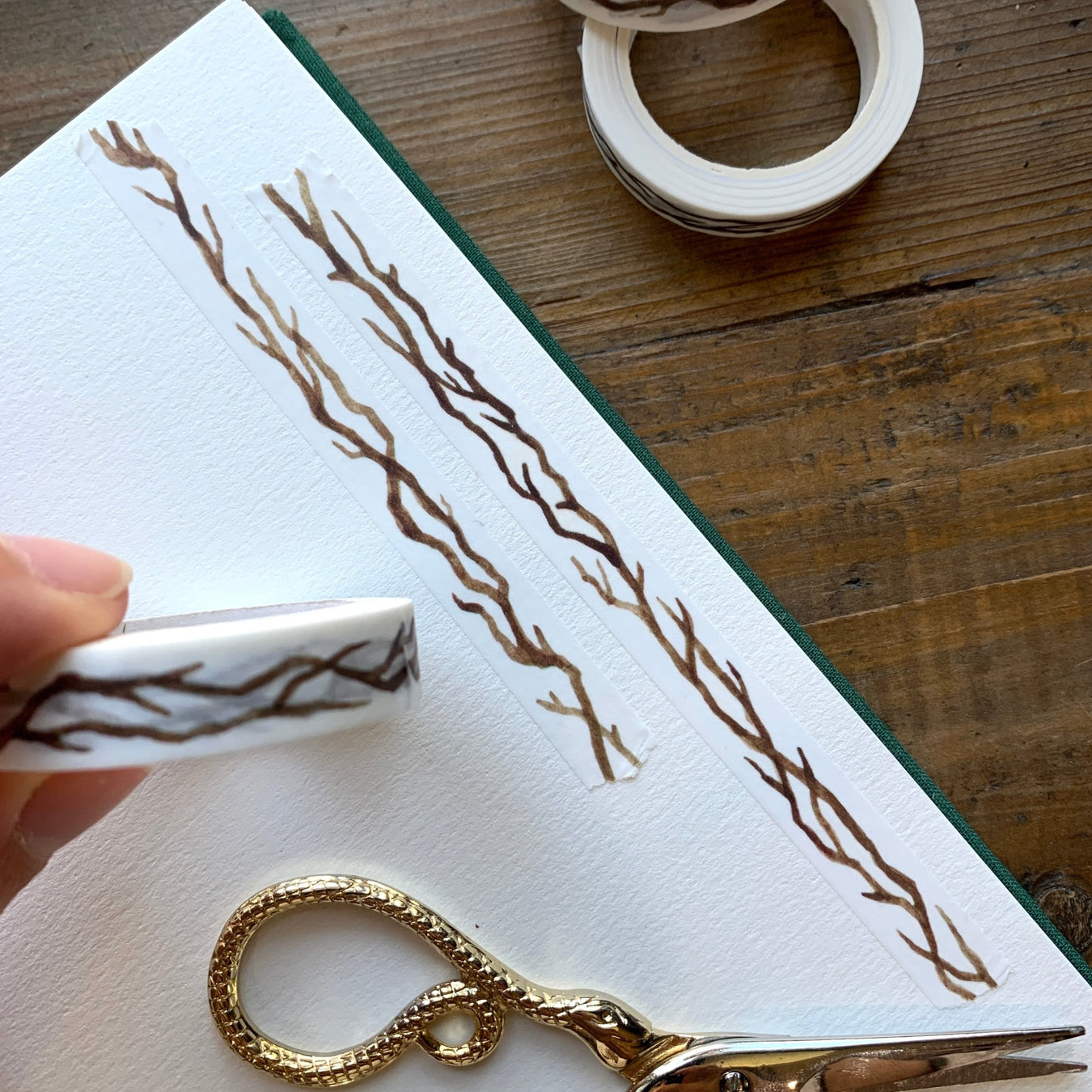 The Devil's Death: Your Satanic Companion for Grief and Dying – Haute ...